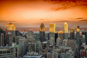 How to Immigrate to Montreal Canada: Best Ways to Move This Year